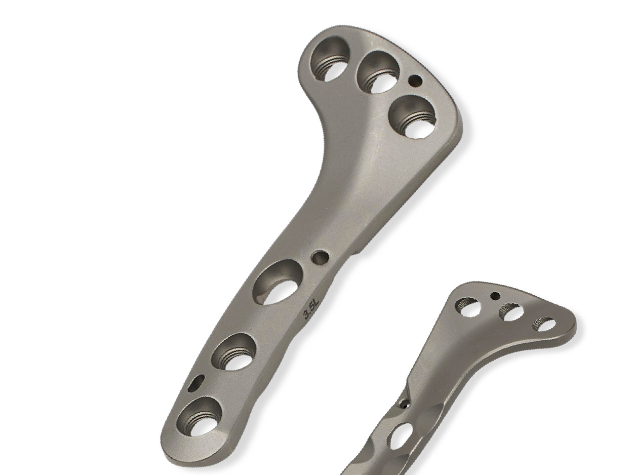 Movora Education - Upcoming Opportunities